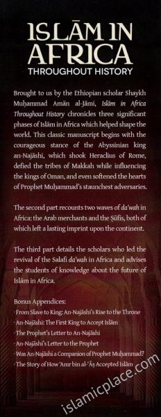 Islam in Africa Throughout History - The Islamic Place